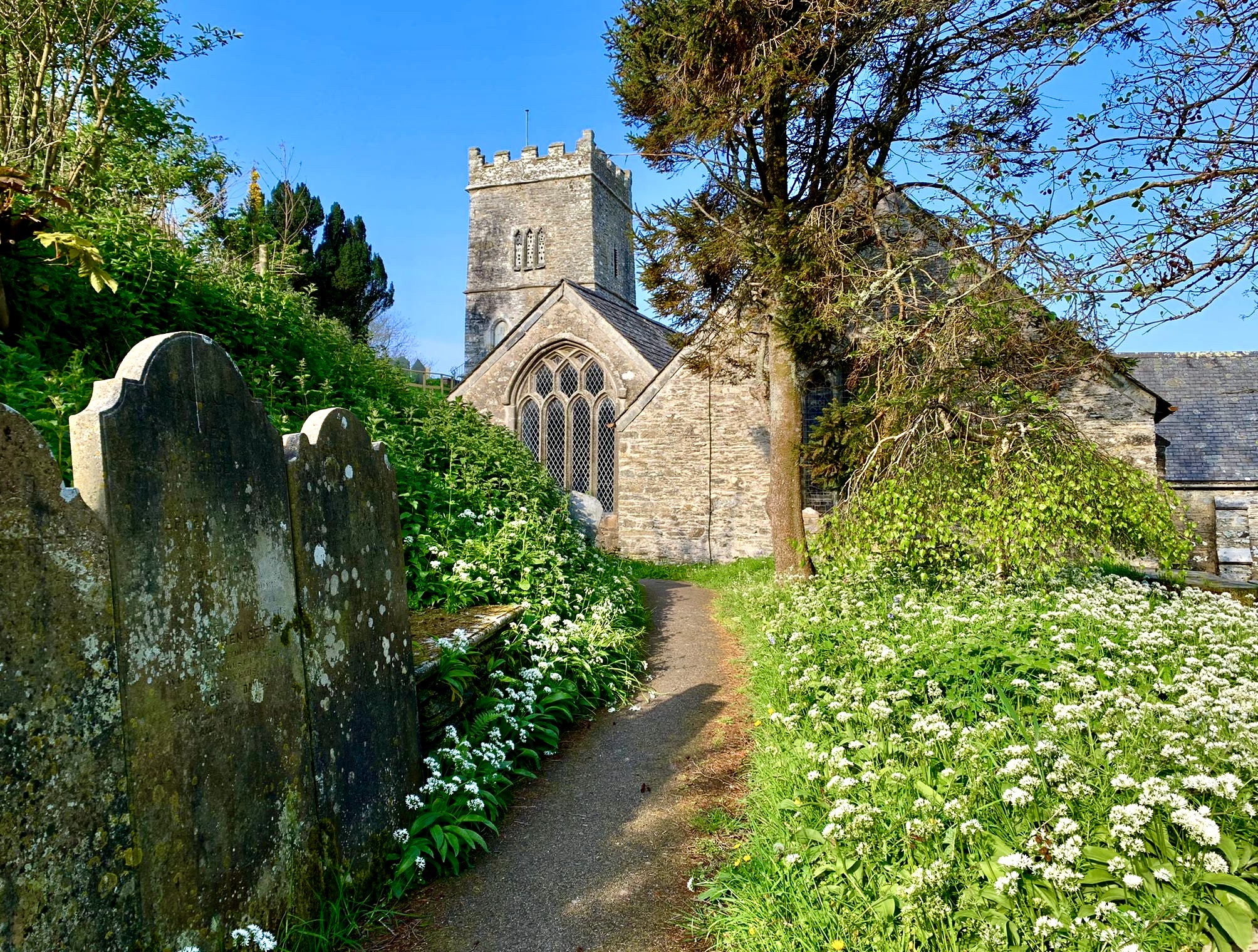 Talland Church Headstones – Records of Headstones, Tombs, and Slates at ...