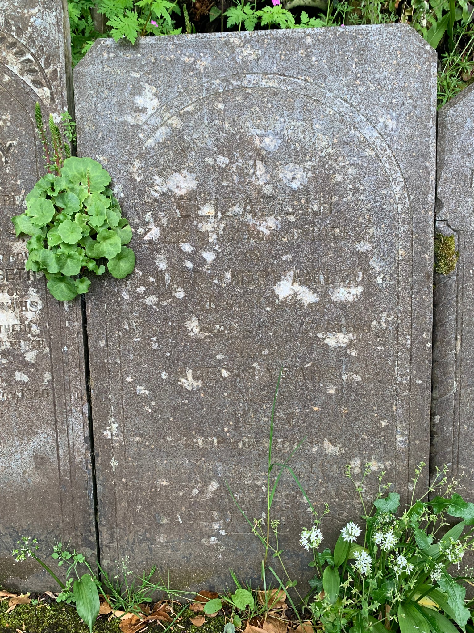 Elizabeth Coss 1865-1873 – Talland Church Headstones