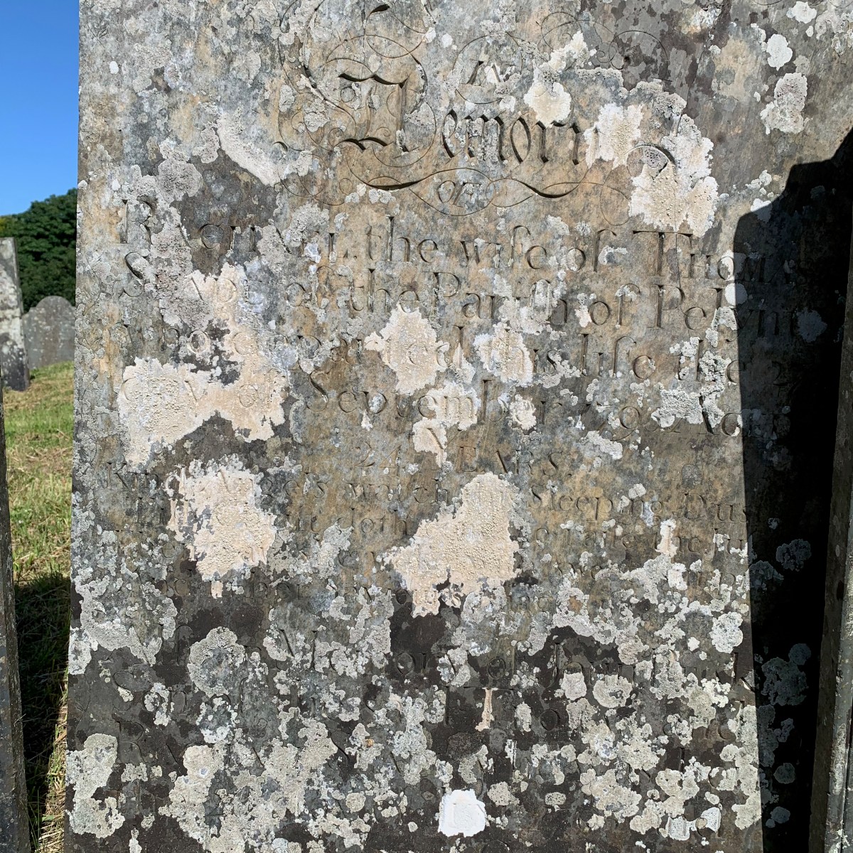 Sargeant / Sargent / Searle / Skentelbery / Slade / Stephens / Stranger ...