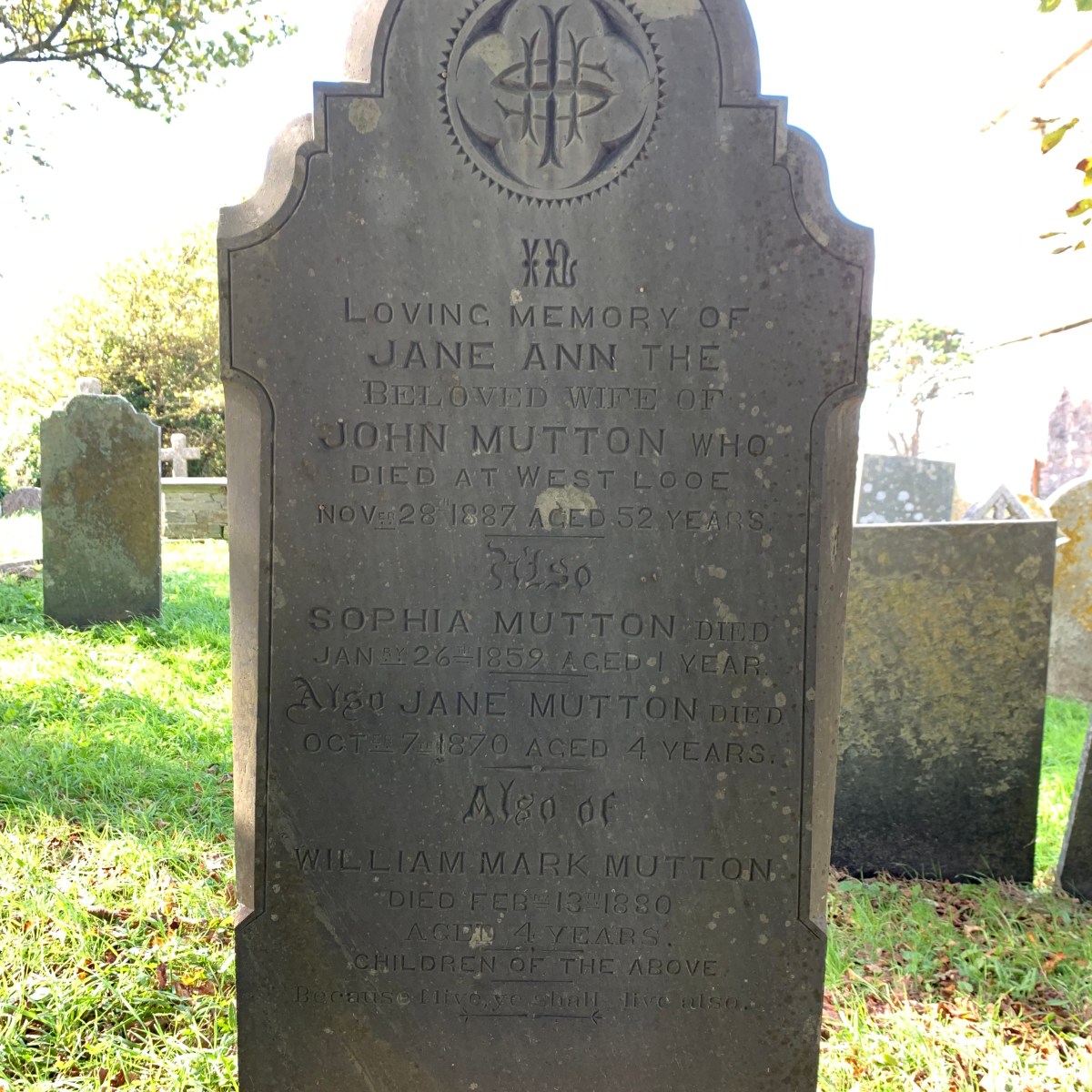 Mack / Martin / Medland / Minards / Mitchell / Moody / Moon / Moore ...